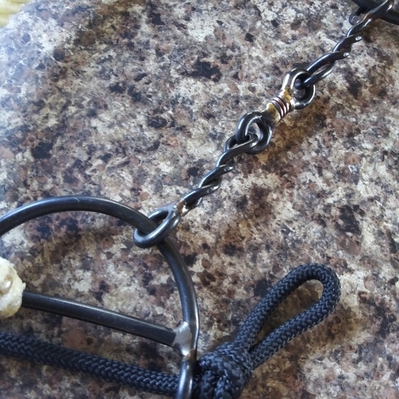 Other | Gag Headstall Bit Bridle | Poshmark
